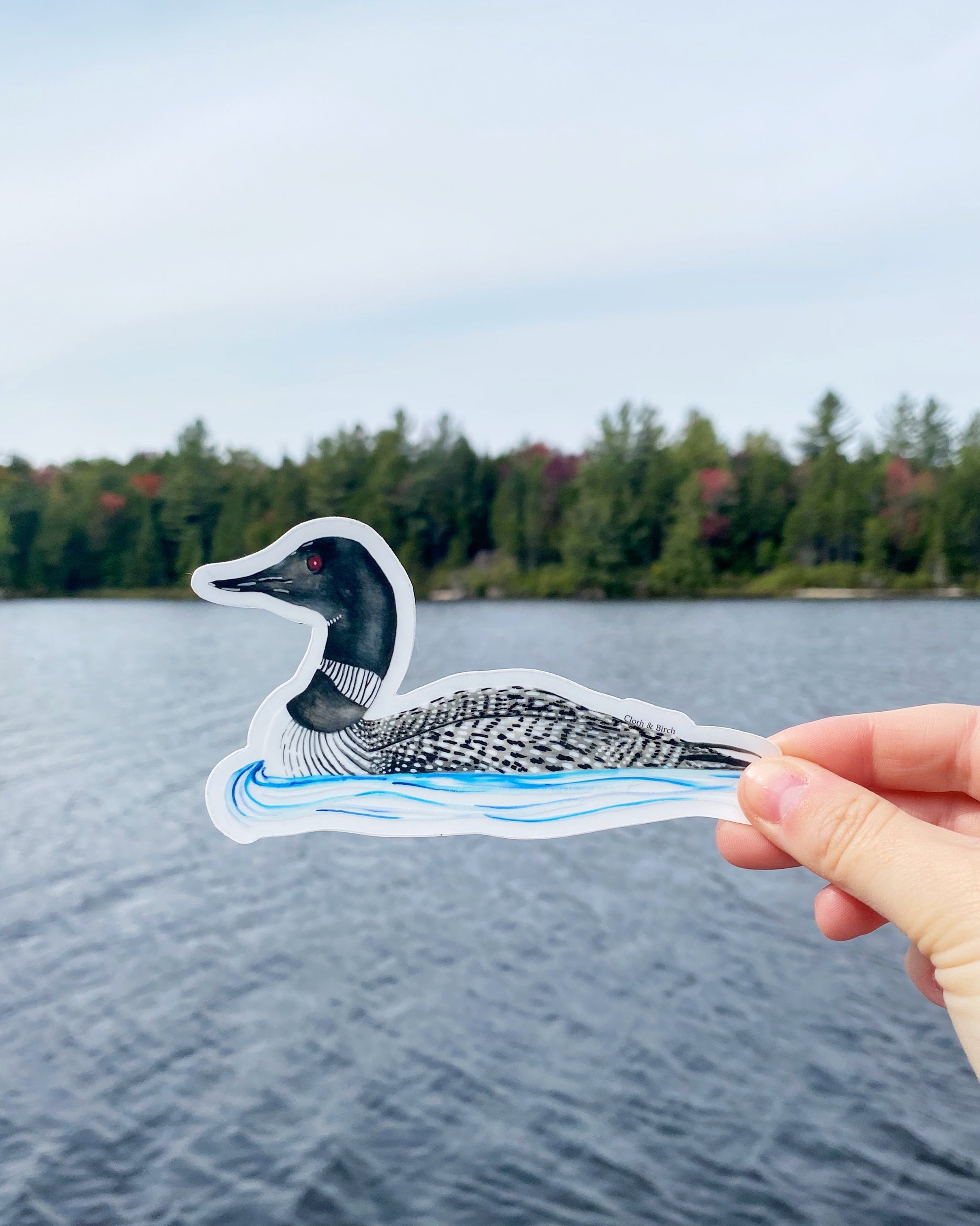 Stickers – Hadley Richards Designs